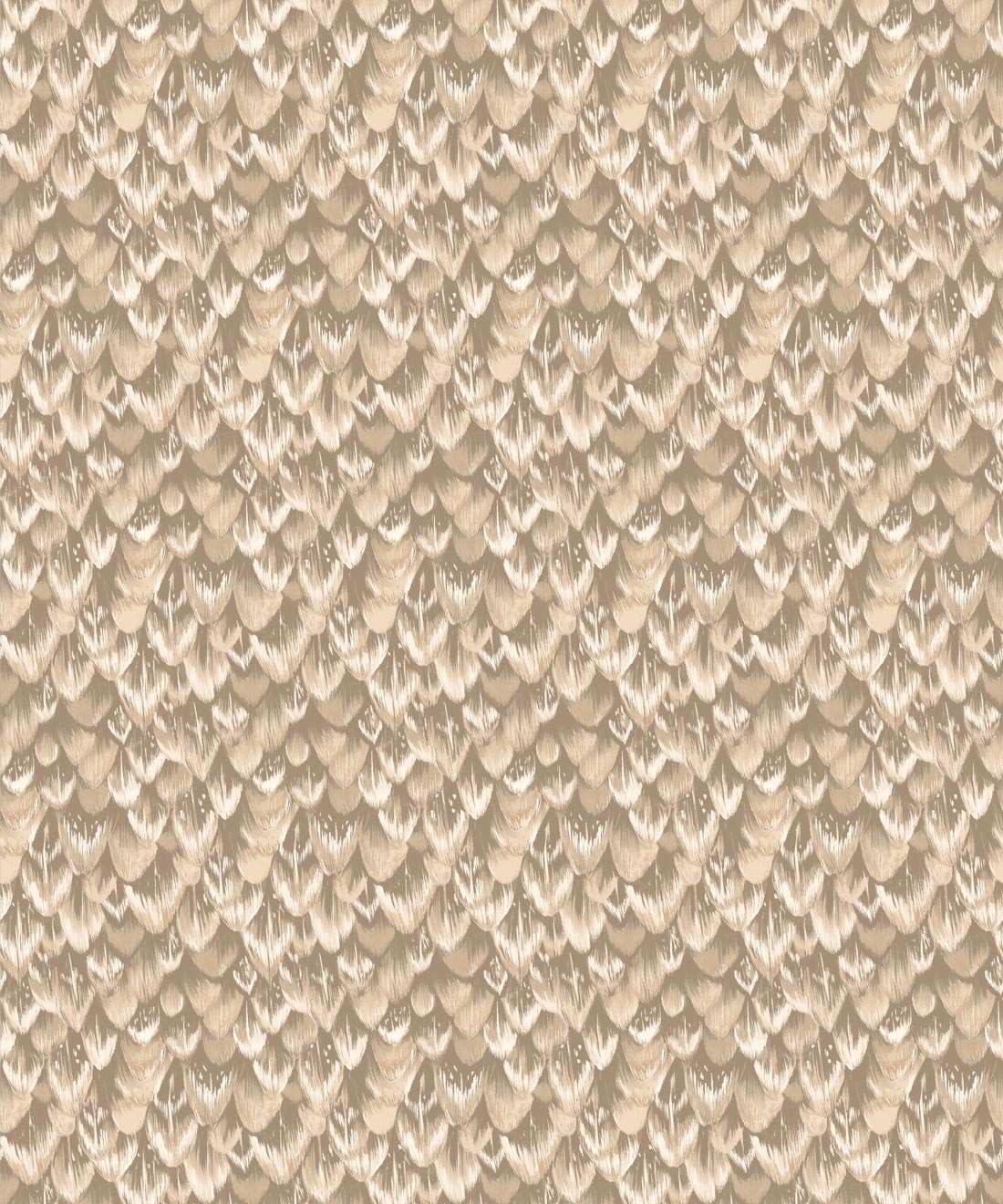 Tail Feather Wallpaper • Feather Scallop Wallpaper • Wild at Heart ...